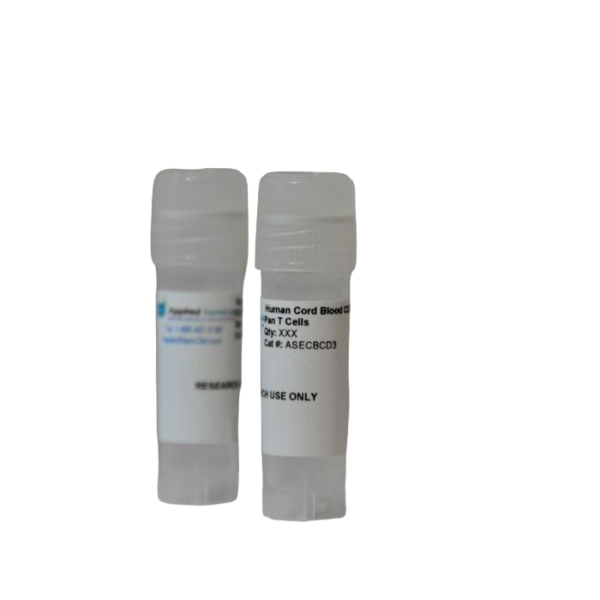 Human Cord Blood CD3+ Pan T Cells 20M - CellSystems®