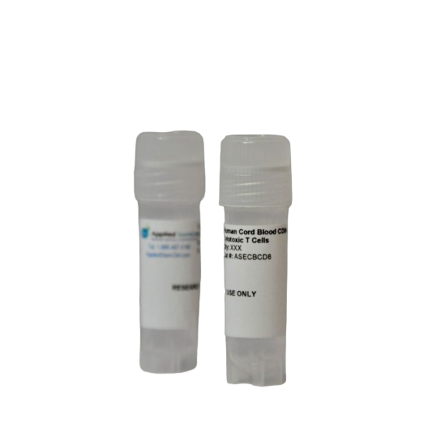 Human Cord Blood CD8+ Cytotoxic T Cells 5M - CellSystems®